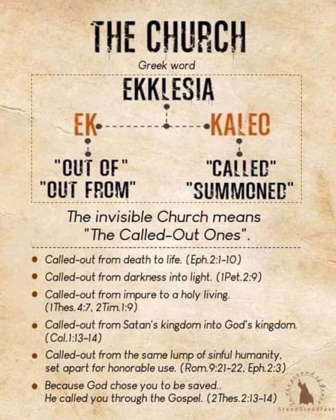 TAMING THE JESUS REVOLUTION – Whitestone Fellowship