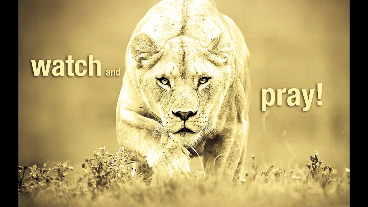 WATCH & PRAY – Whitestone Fellowship