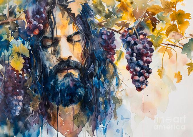 THE BOOK OF JOHN, Chapter 15 – Jesus is the Vine, Disciple’s ...